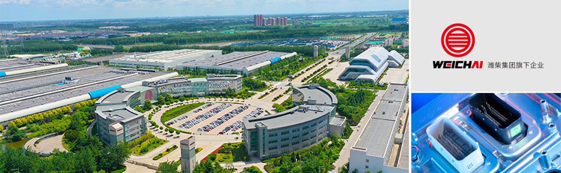 Majority-owned Subsidiary-Weichai Group